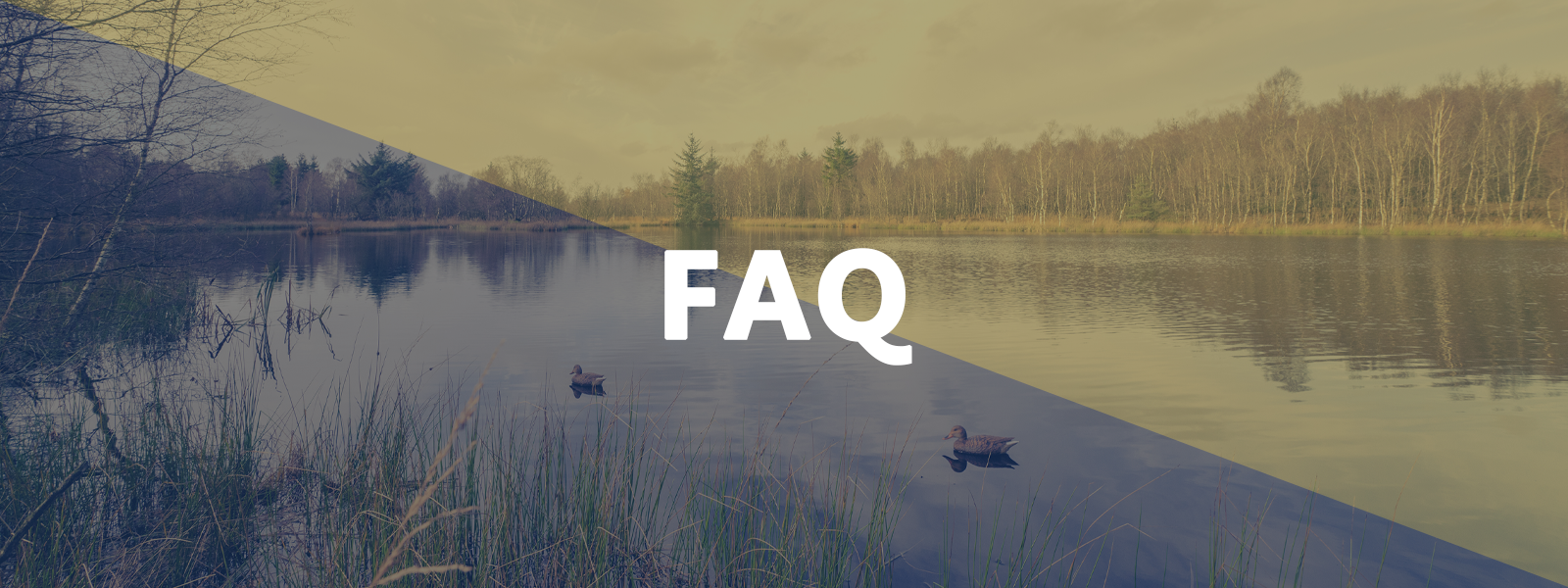 About – Outdoor Driven Inc