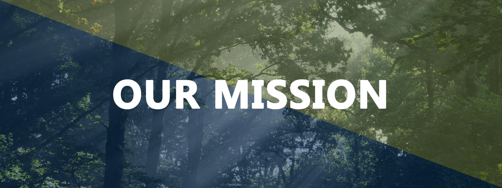 About – Outdoor Driven Inc